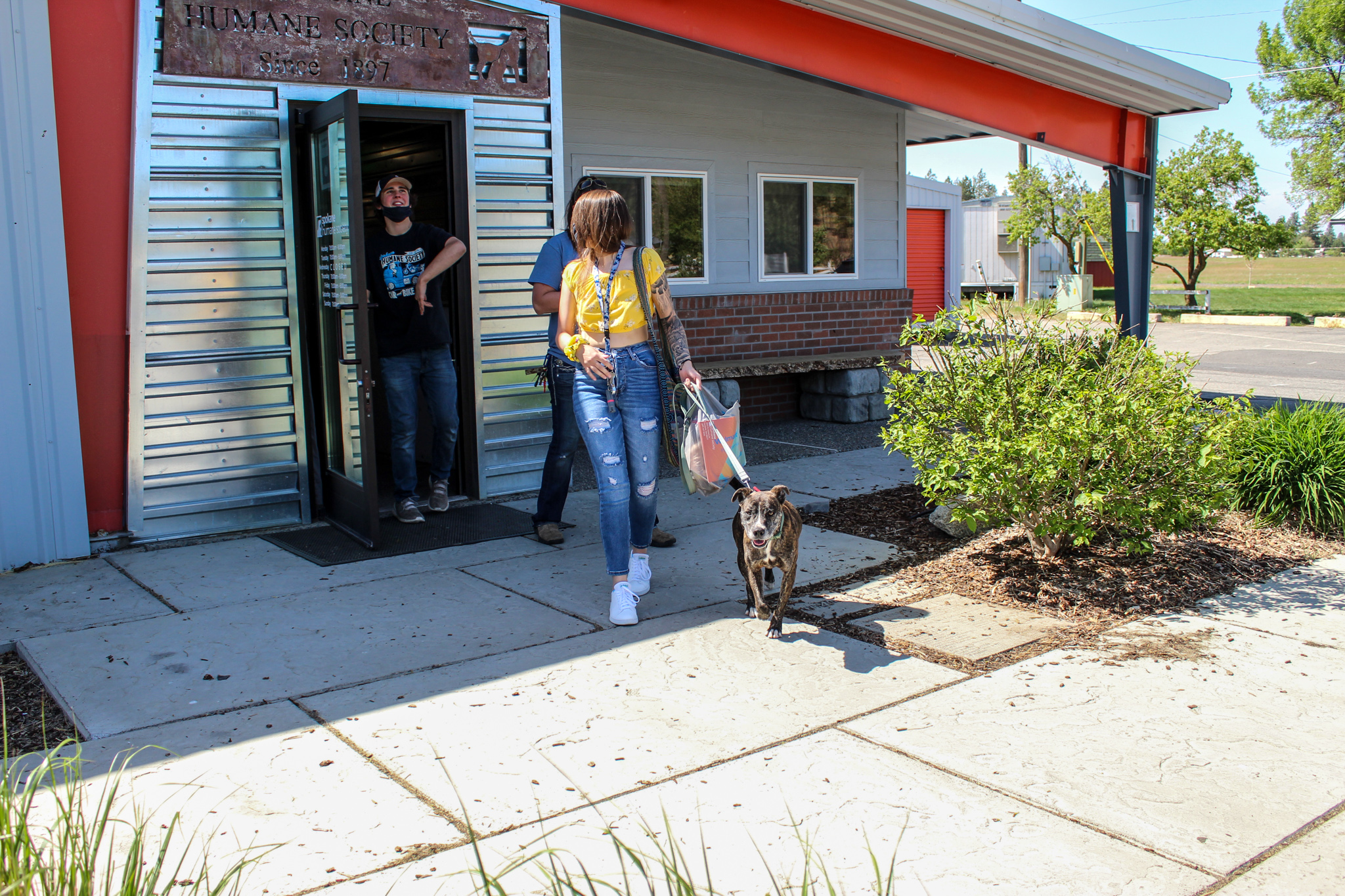 166 Pets Were Added to Families