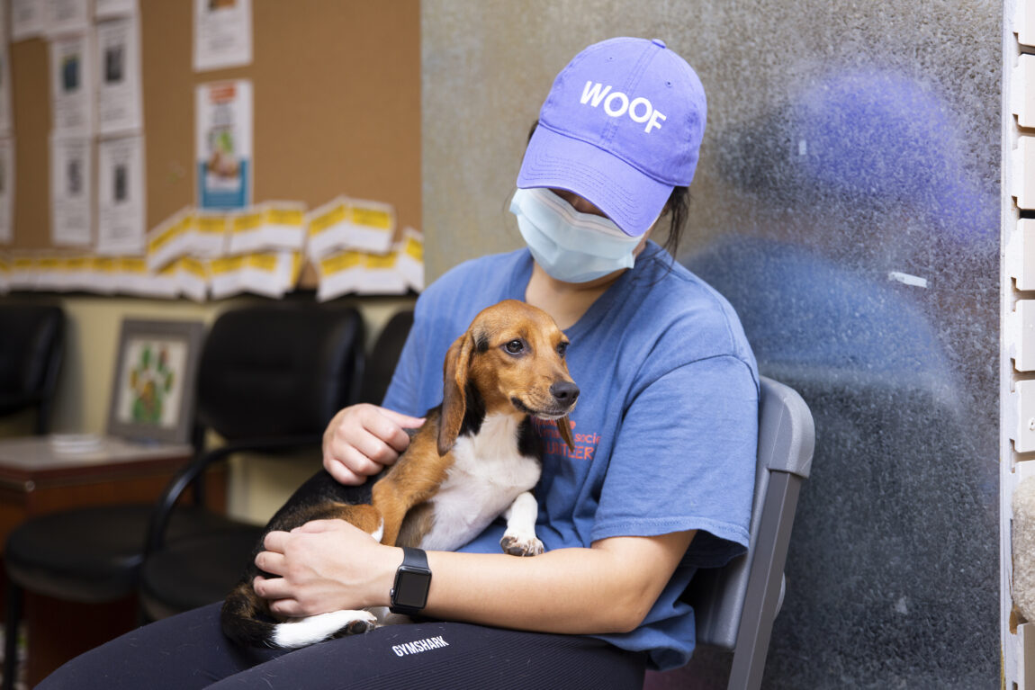 Spokane Humane Society