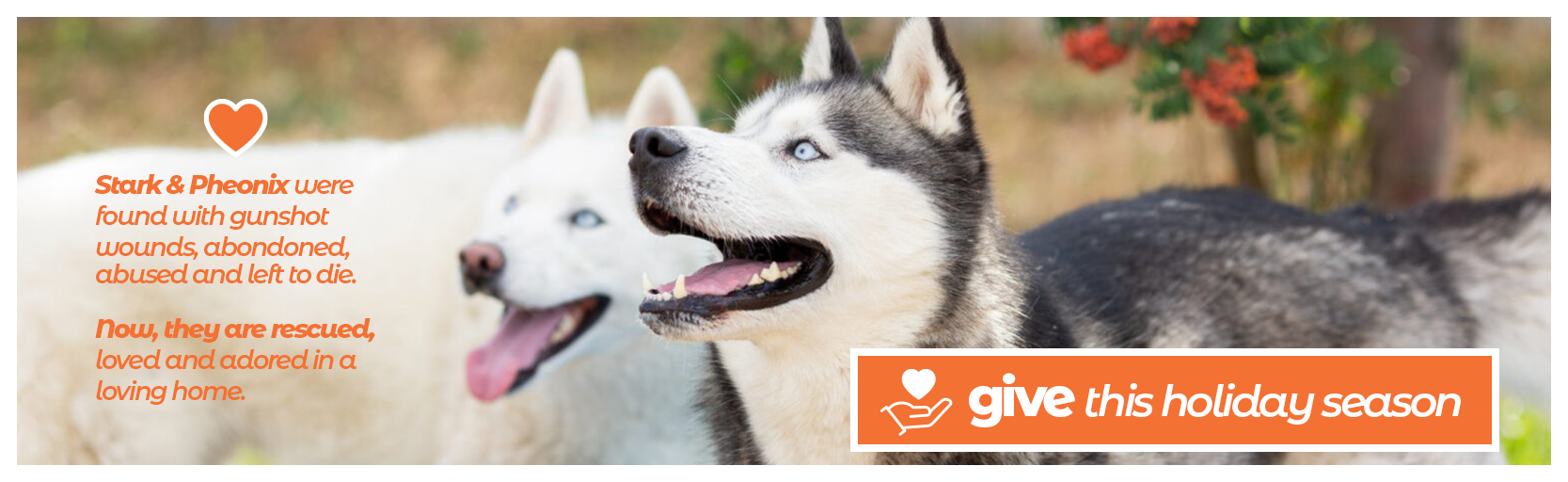 Spokane Humane Society