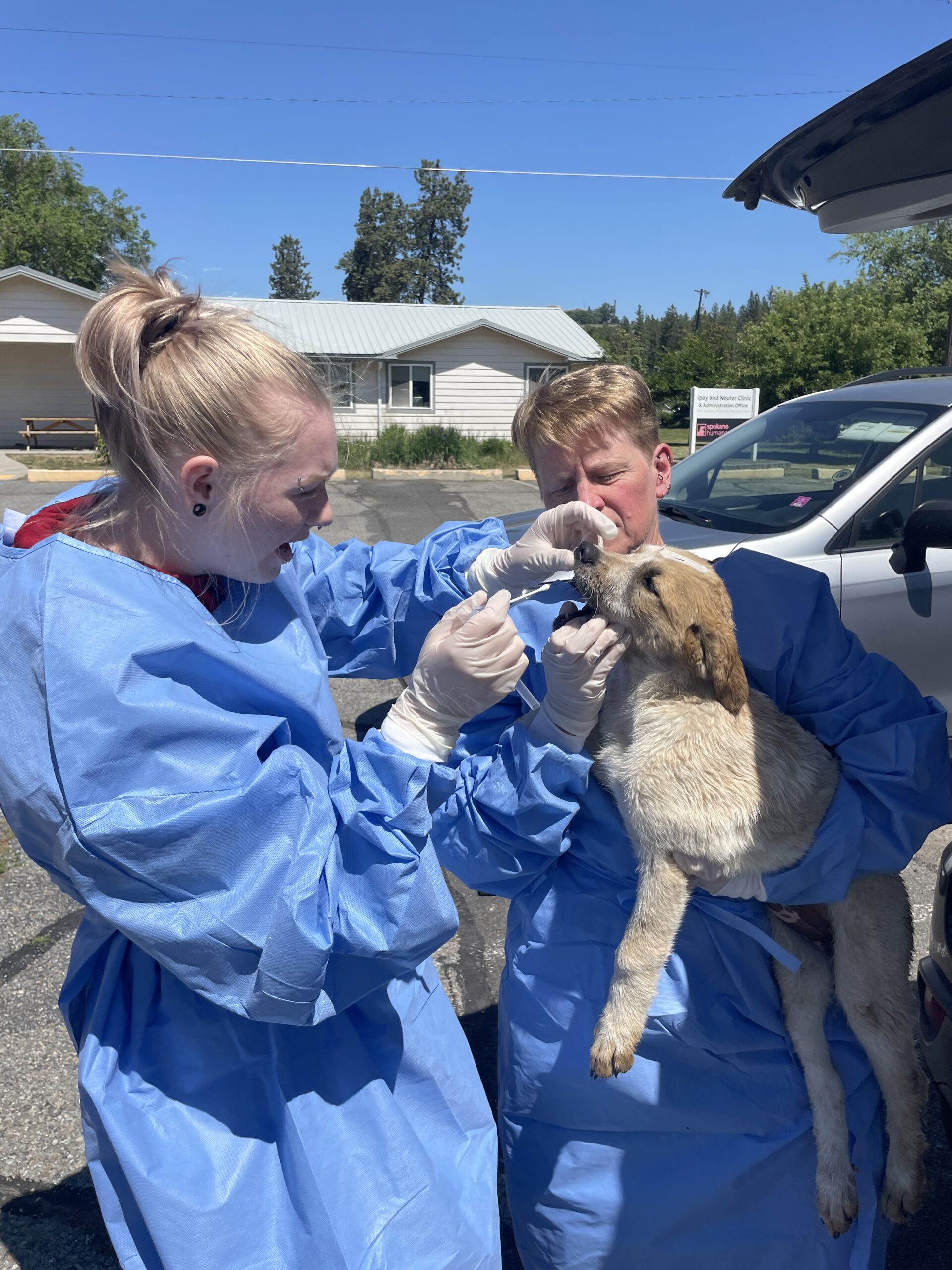 Intake and Foster – Day in the life of Foster Coordinator at SHS