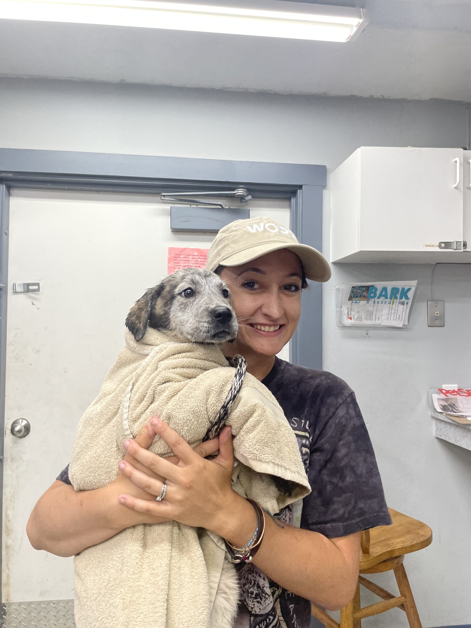 Intake and Foster – Day in the life of Foster Coordinator at SHS