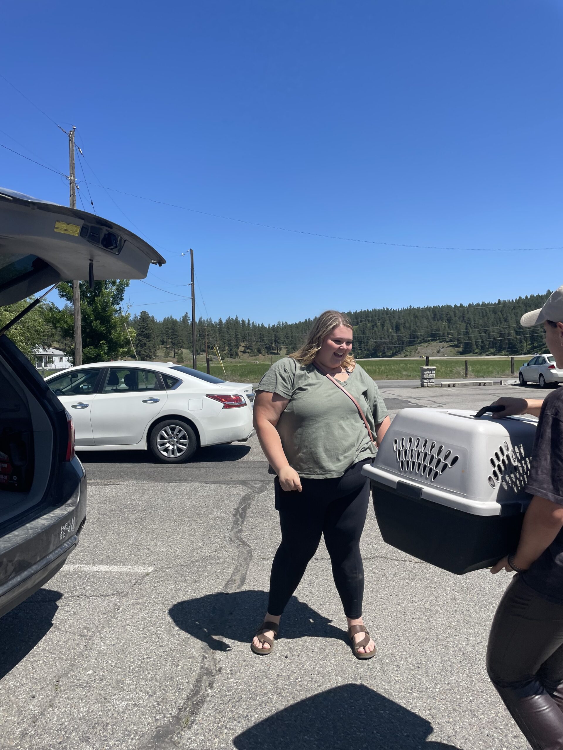 Intake and Foster – Day in the life of Foster Coordinator at SHS