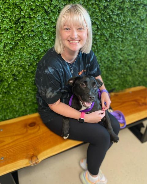 The 3 Principles of Responsible Pet Ownership