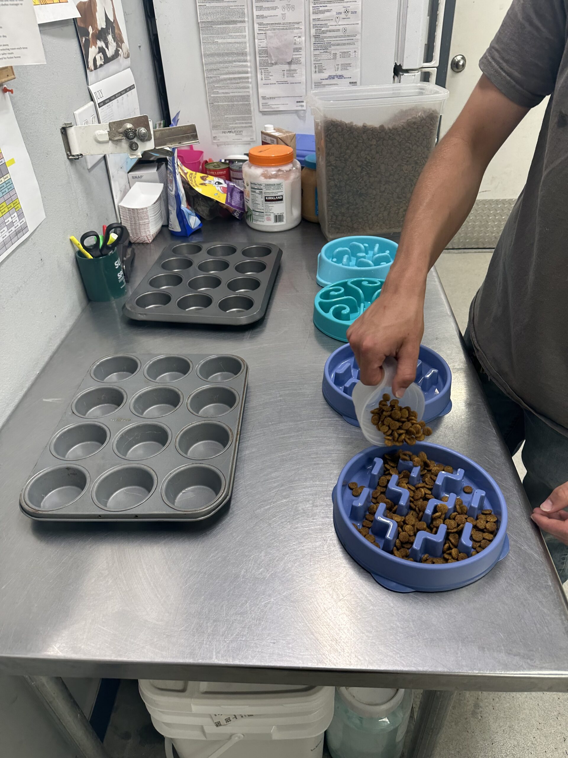 Enrichment Treat Making at SHS – Spokane Humane Society