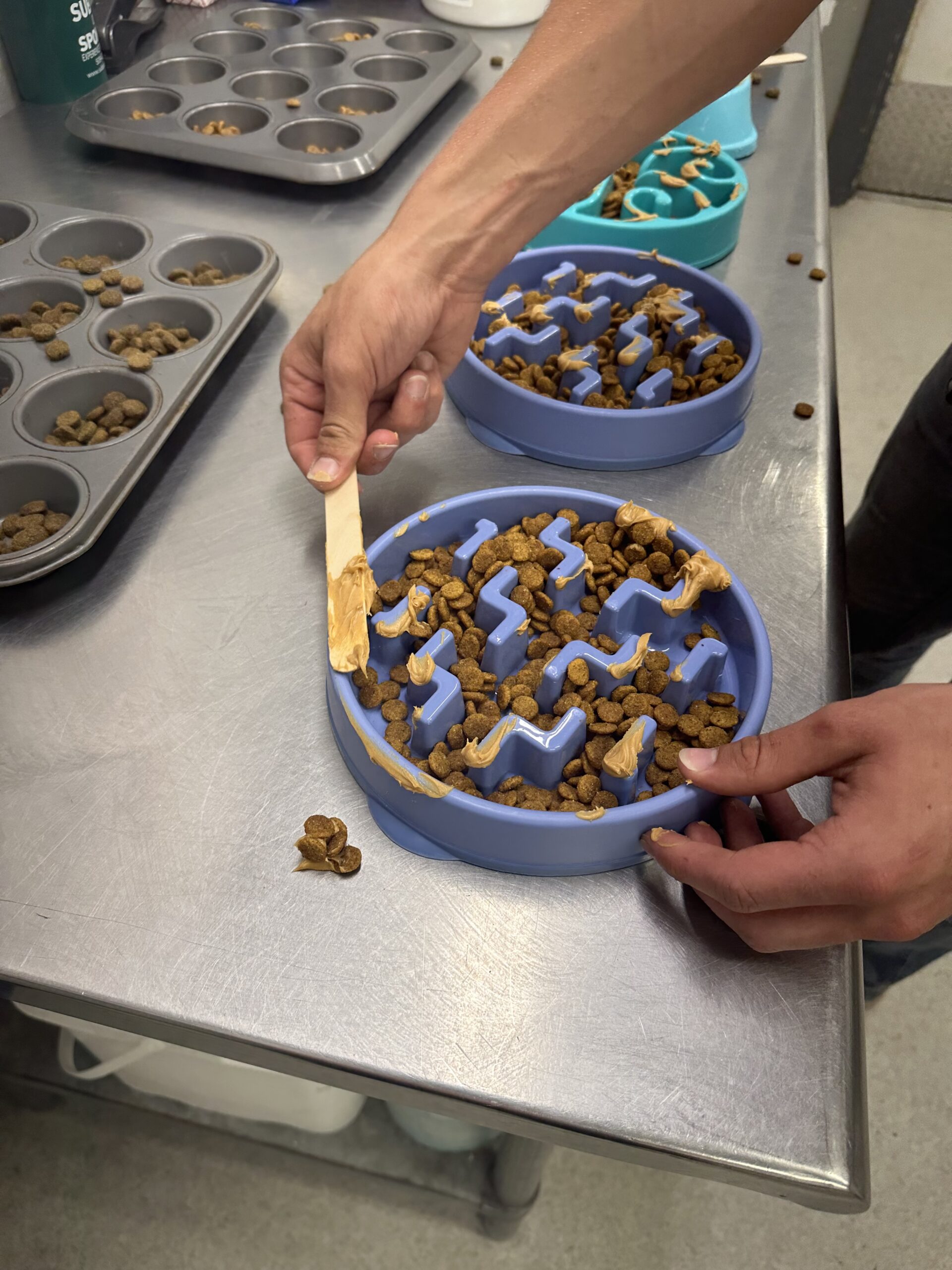 Enrichment Treat Making at SHS