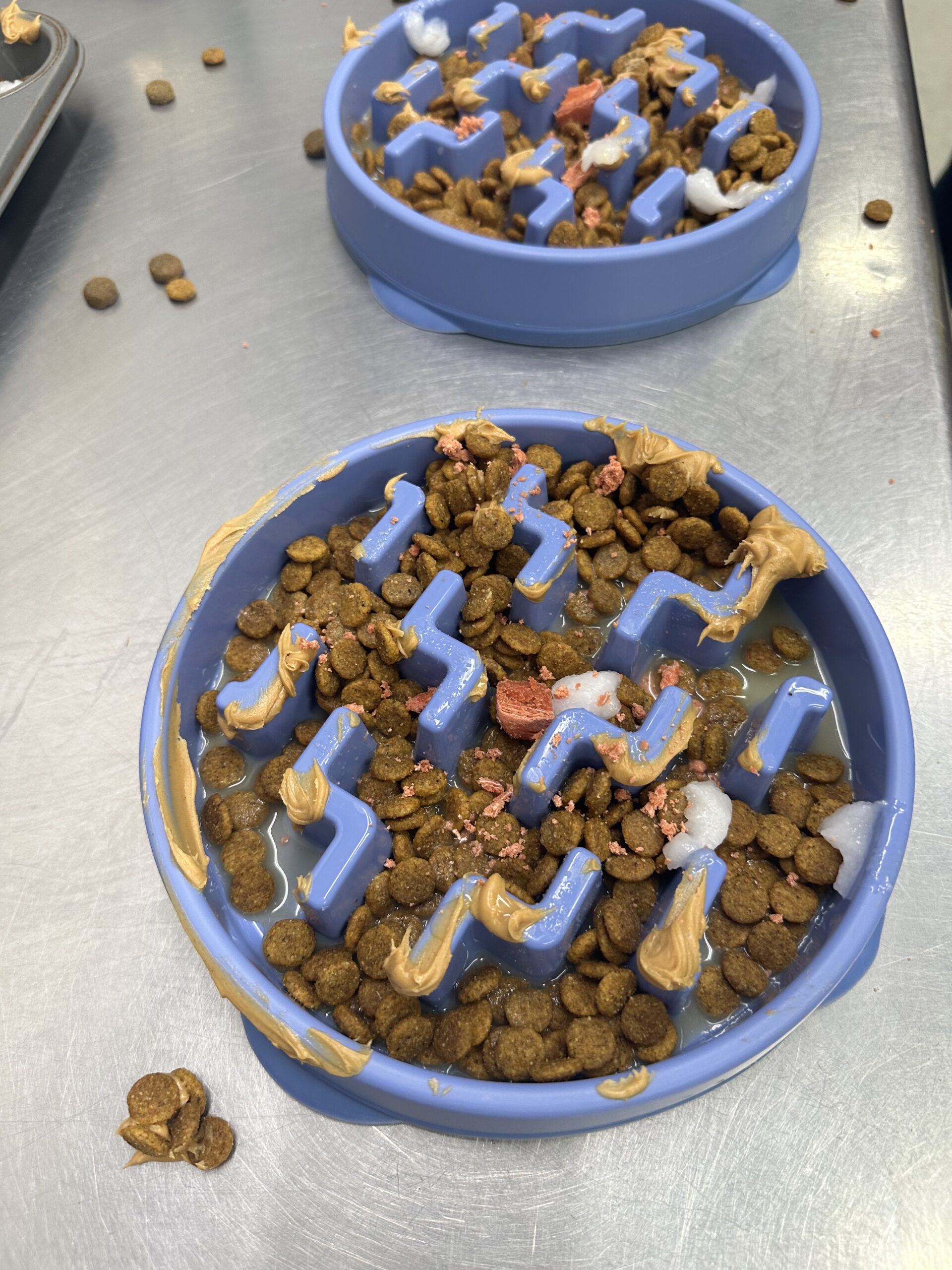 Best Slow Feeders