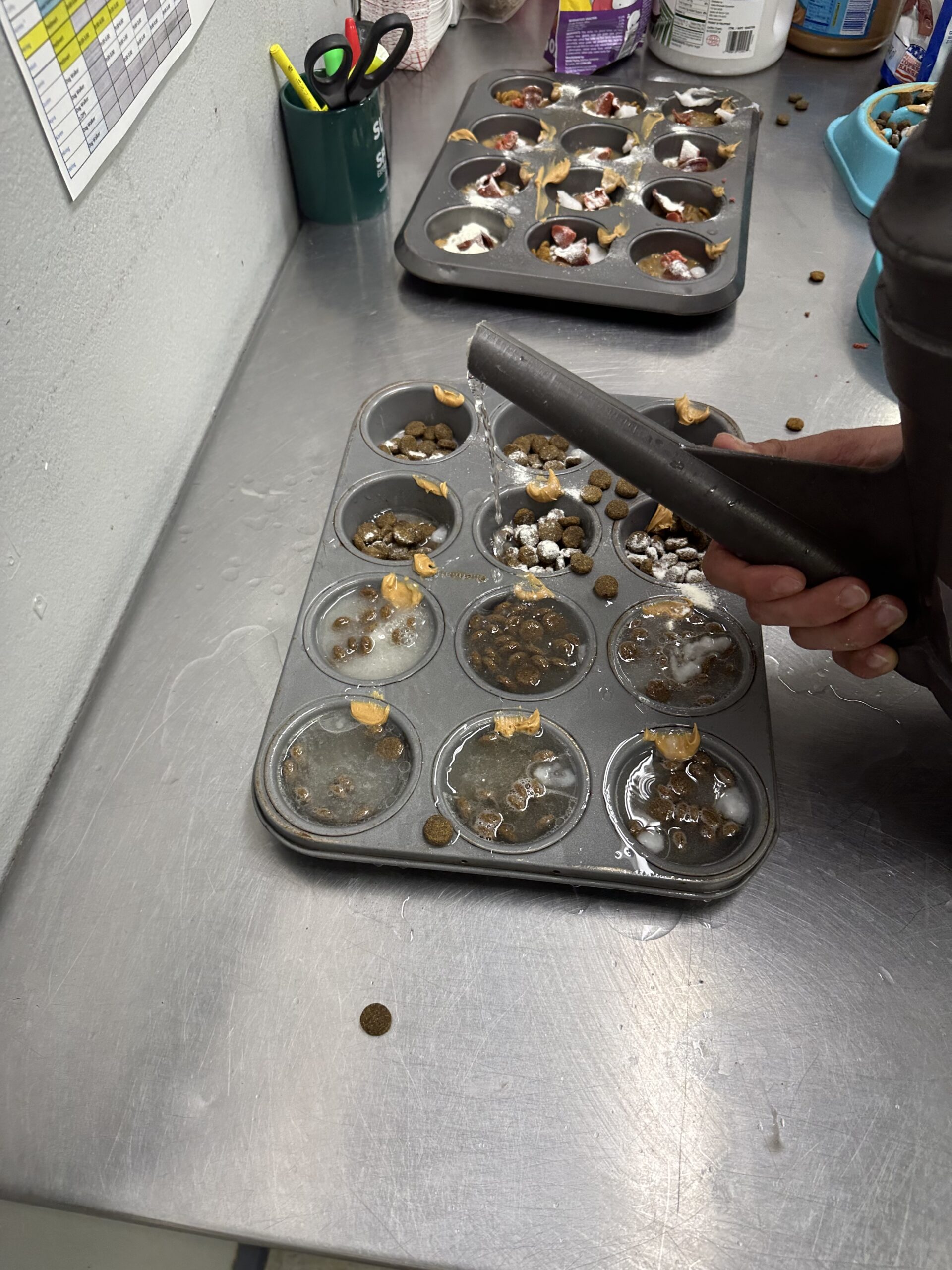 Enrichment Treat Making at SHS – Spokane Humane Society