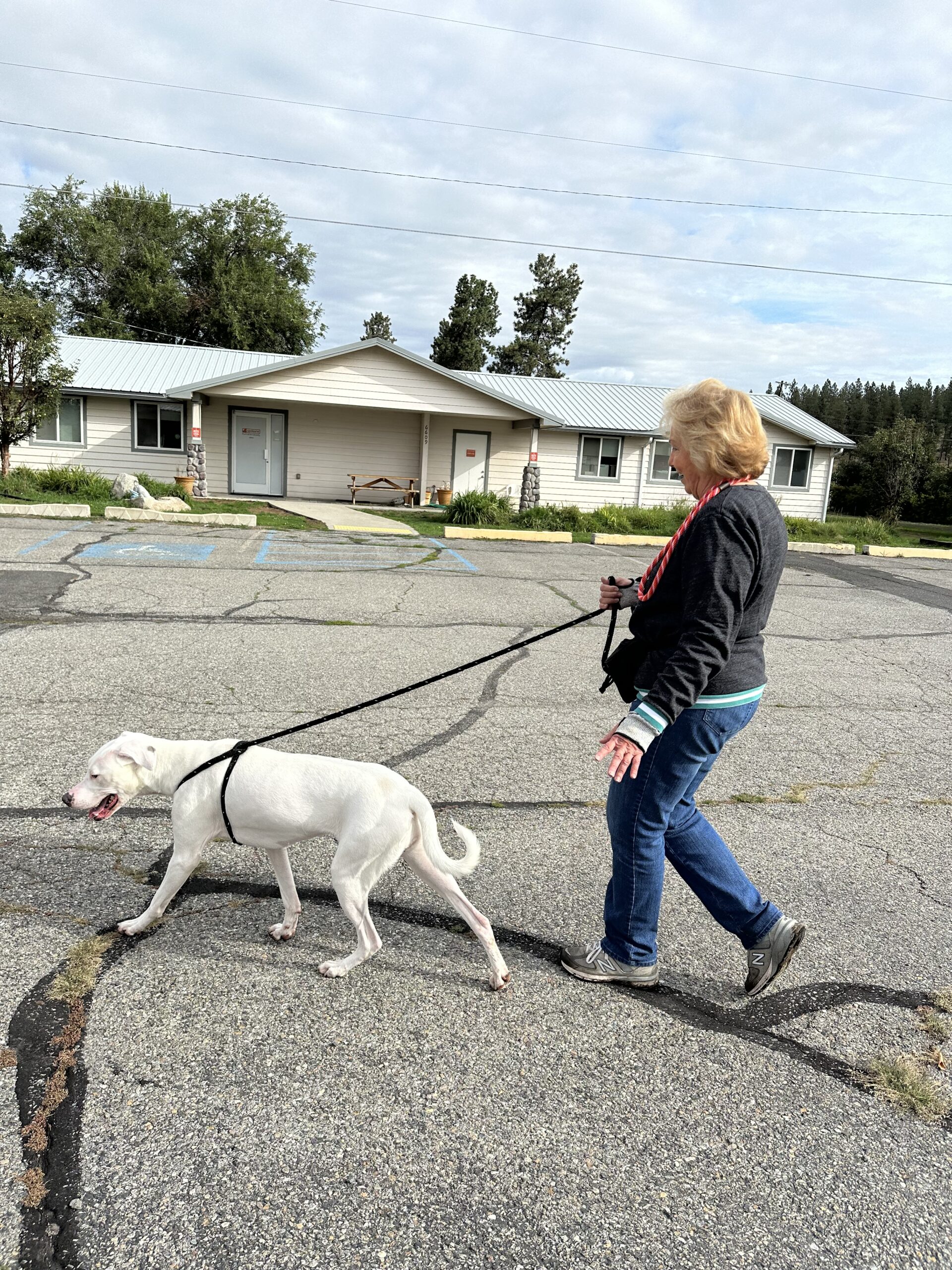 The Benefits of Walking your Dog Everyday – Spokane Humane Society