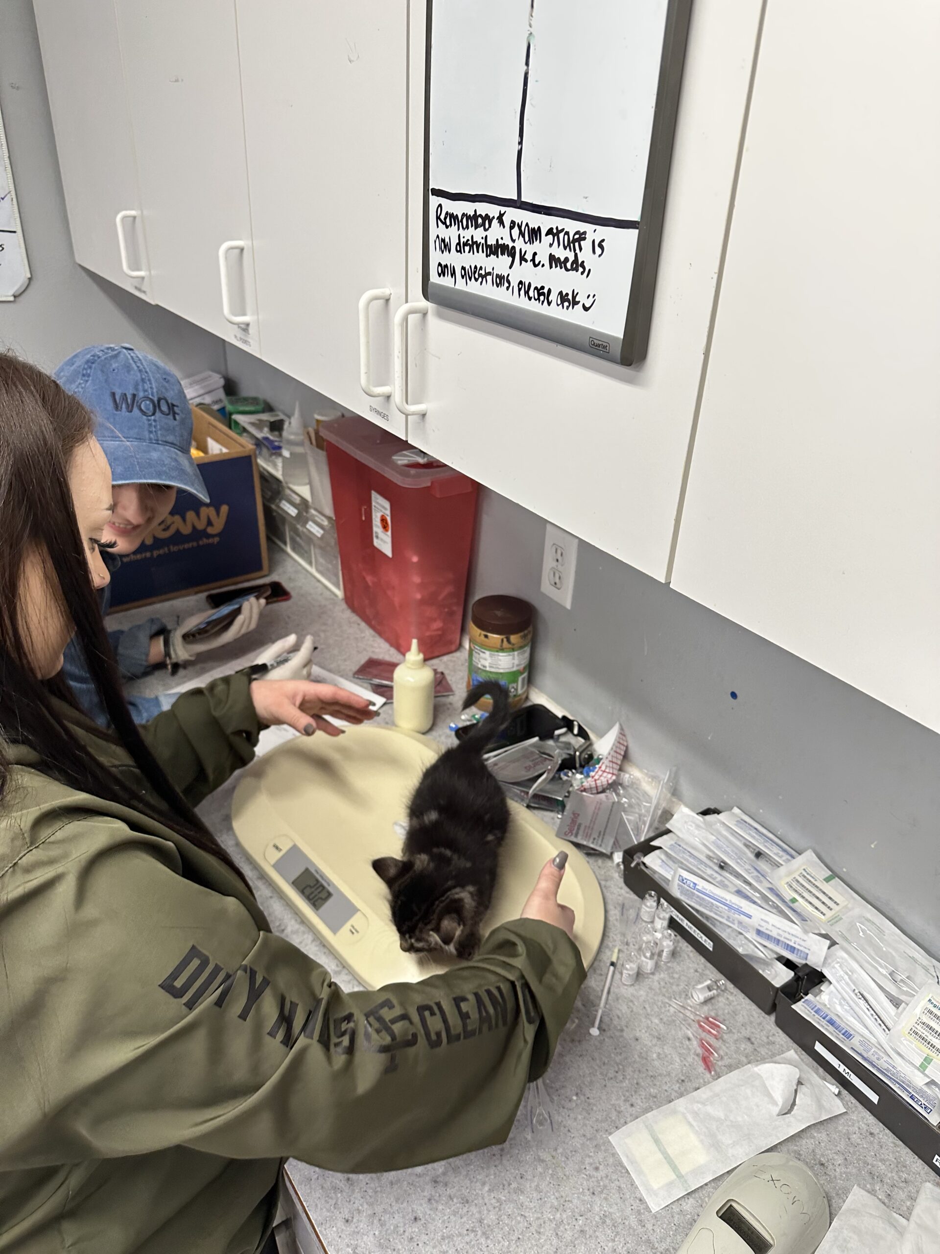 The Intake to Foster Process