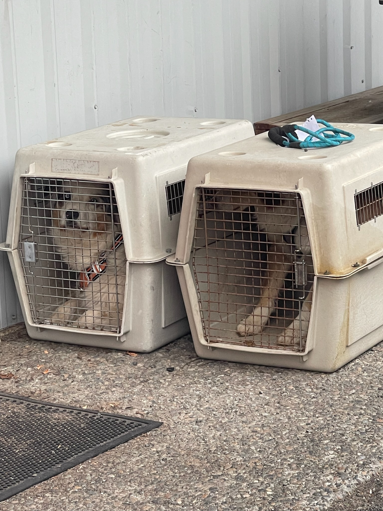 We are here to help!