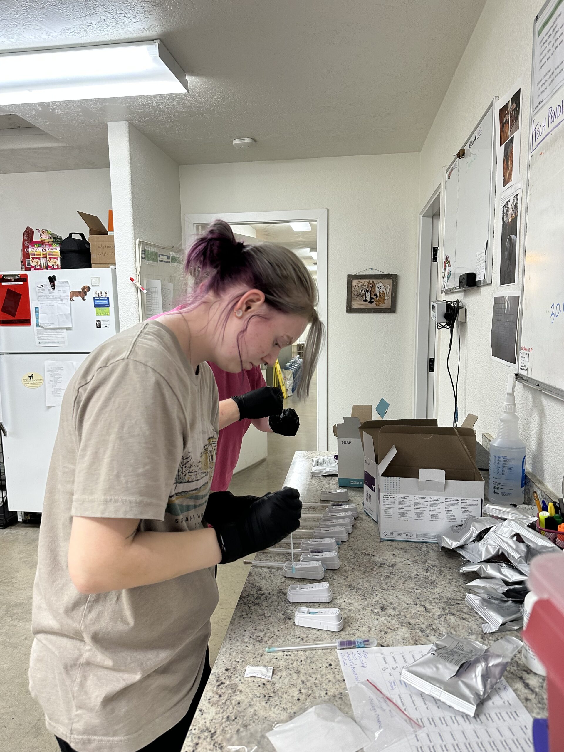 Intake to Foster Process – nine puppies and momma