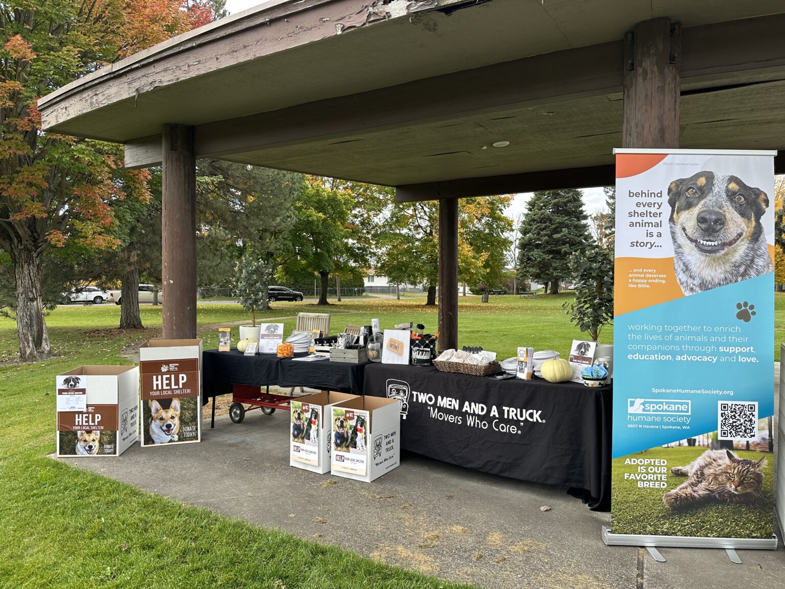 October 2023 – 93 adoptions