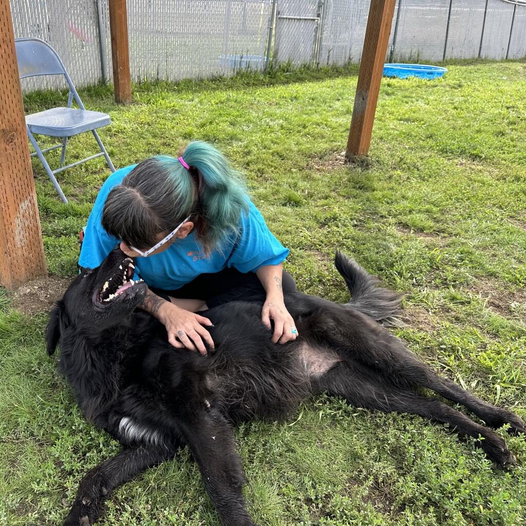 Spokane Humane Society