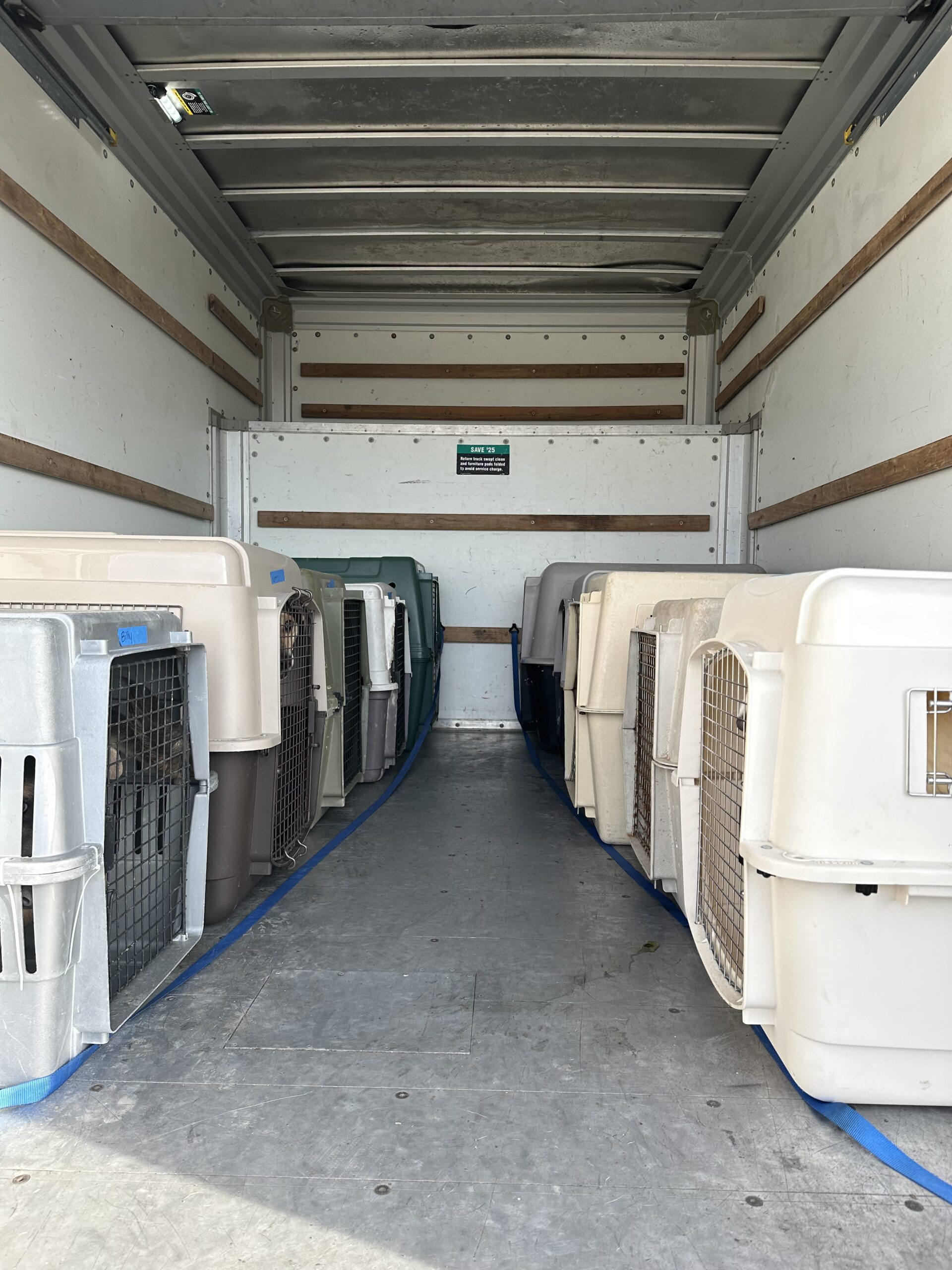 Saving Animals all over Washington State