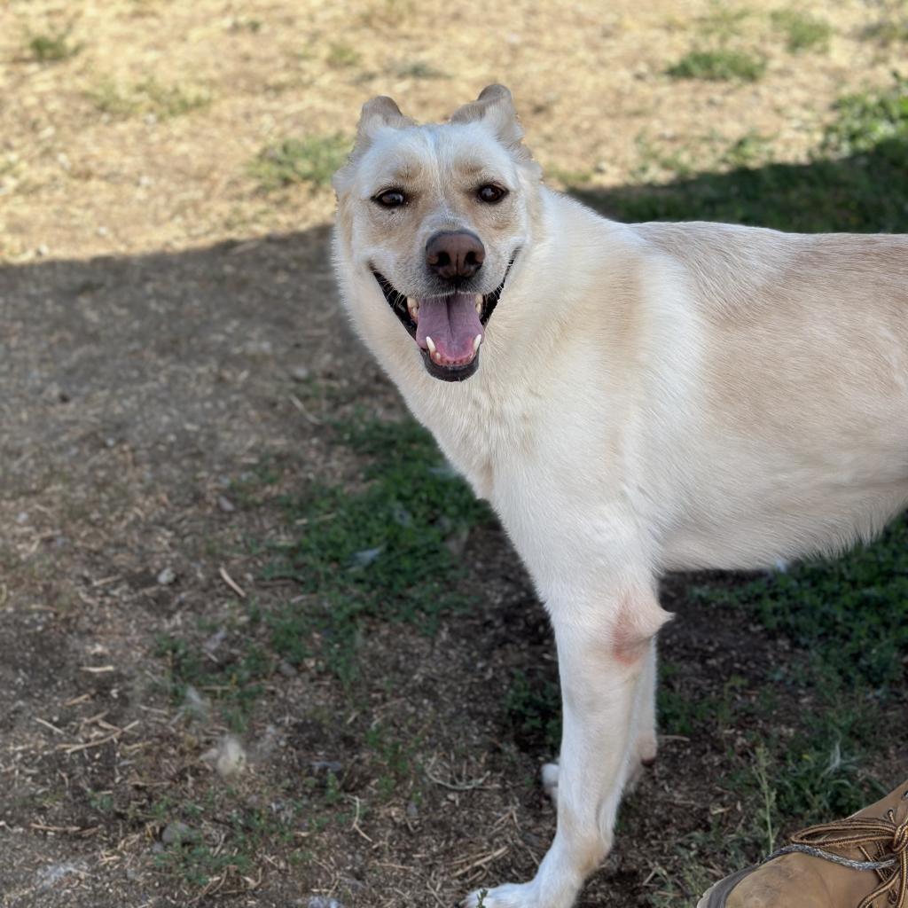 Long-Term Resident: Meet Kira