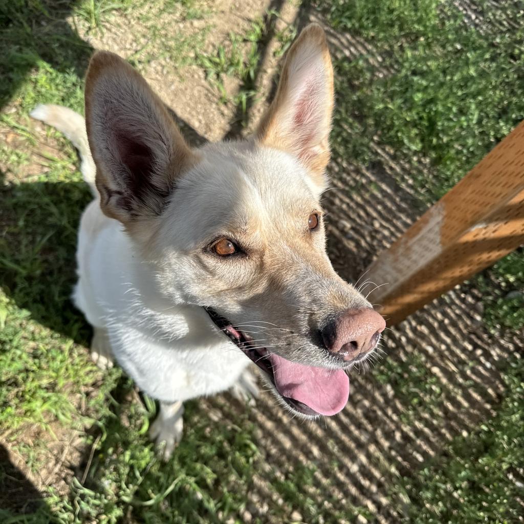 Long-Term Resident: Meet Kira