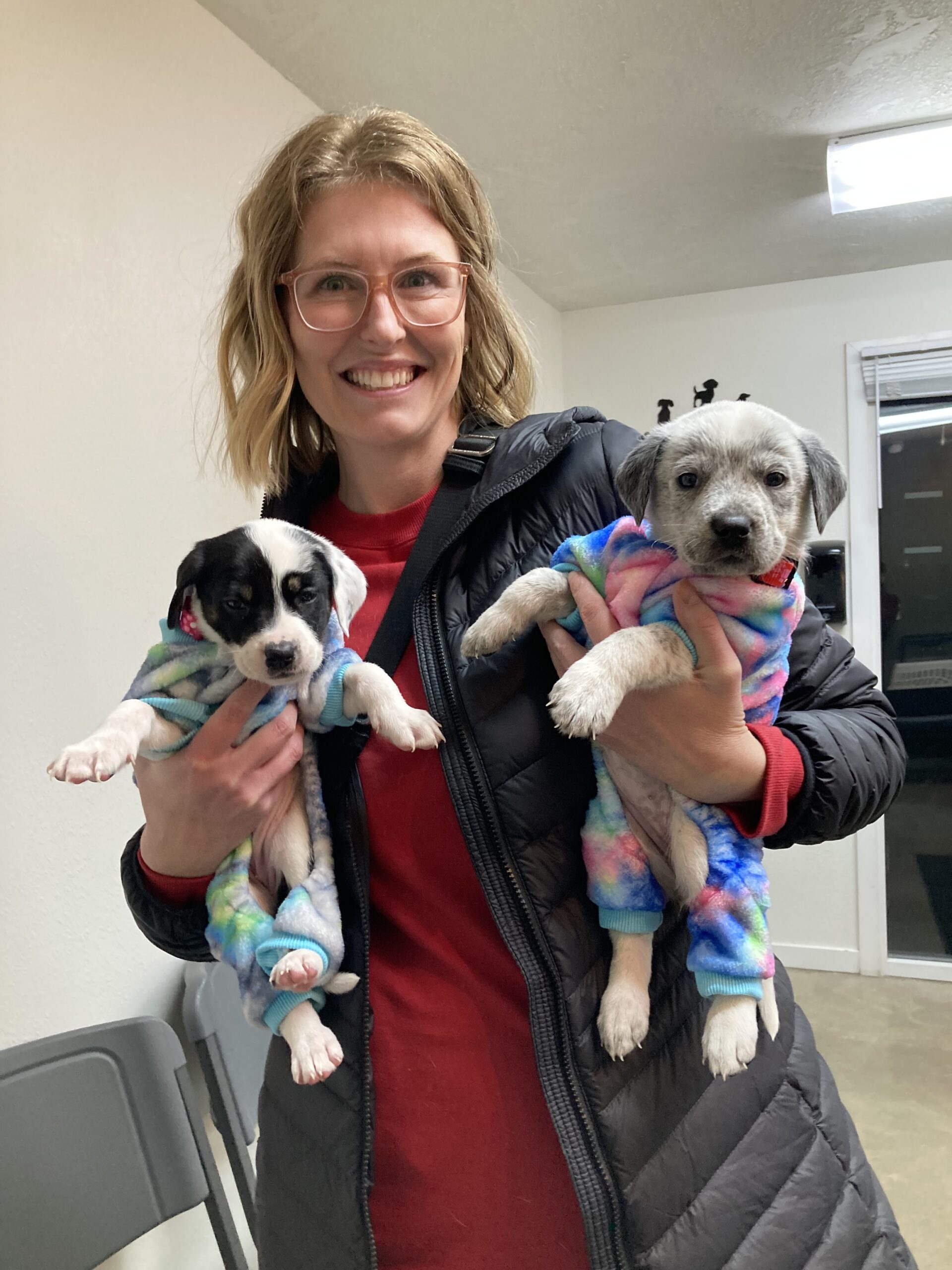 Overflow of Puppies – sign up to foster today!