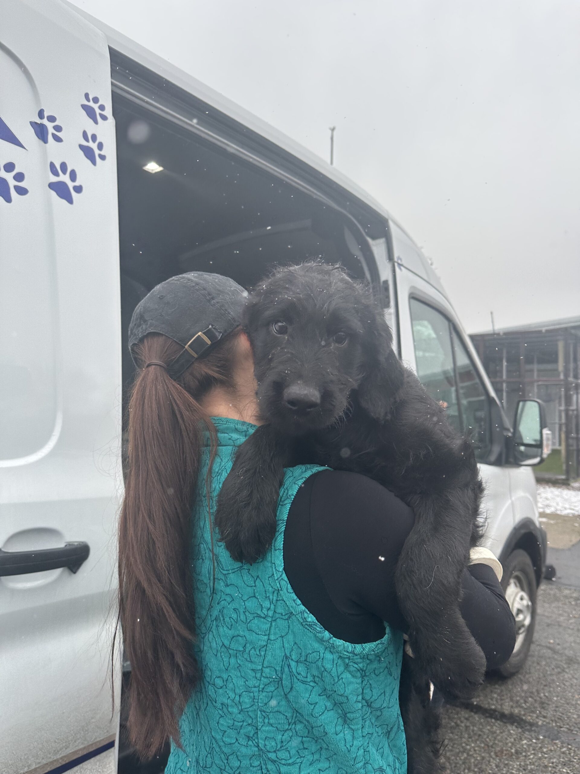 Puppy Palooza at SHS – Spokane Humane Society