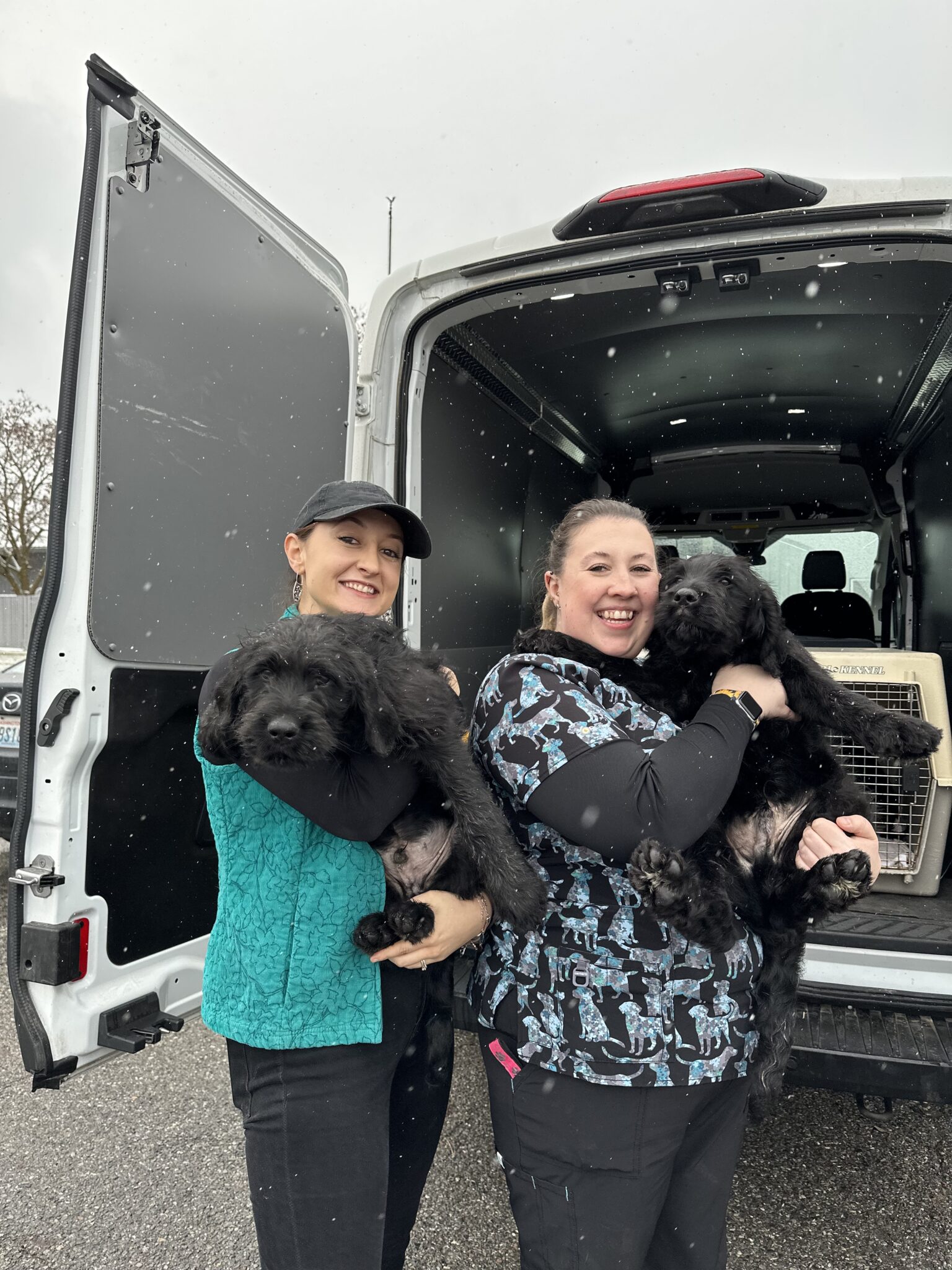 Puppy Palooza at SHS