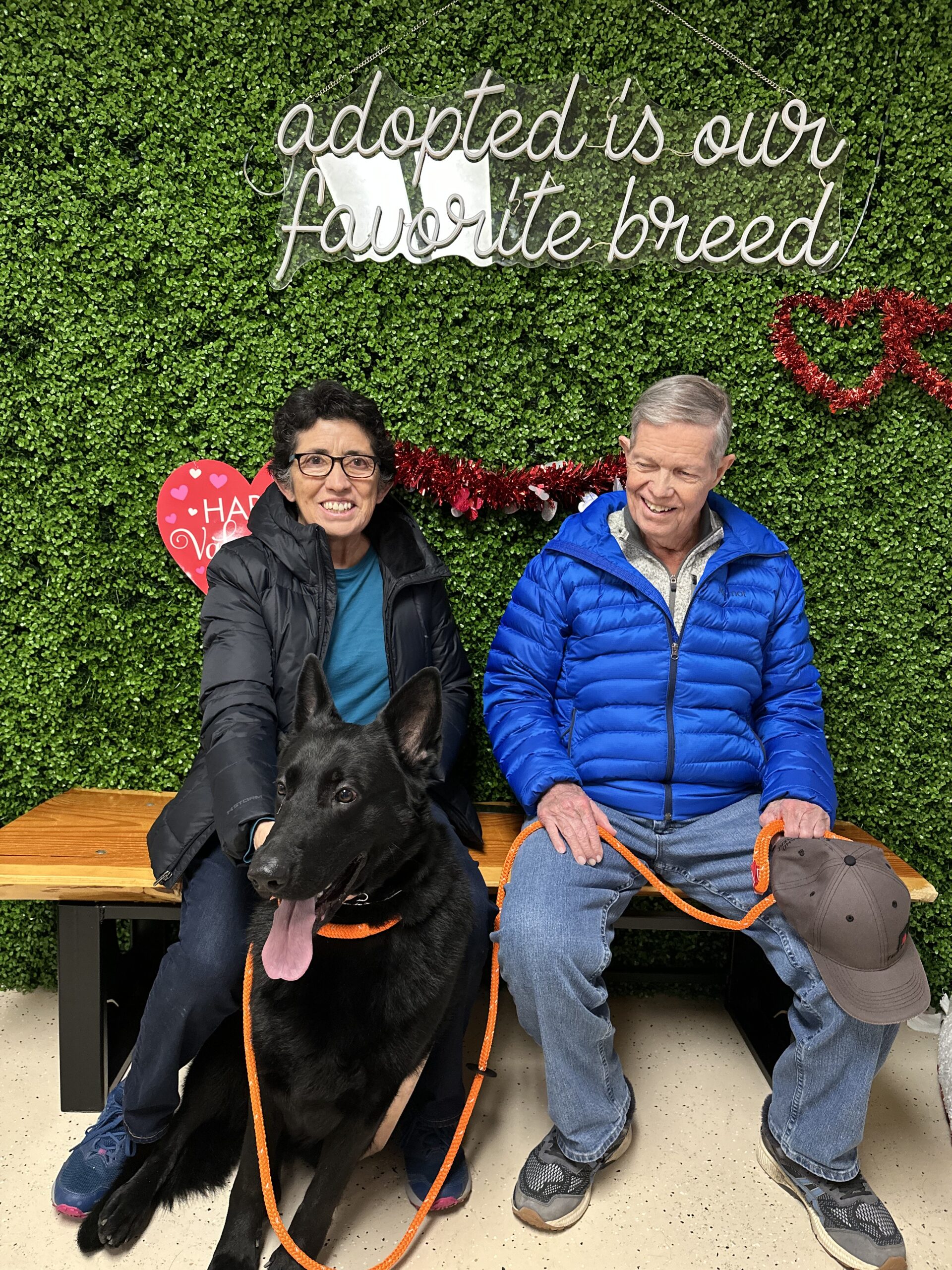 Echo’s Adoption – Spokane Humane Society
