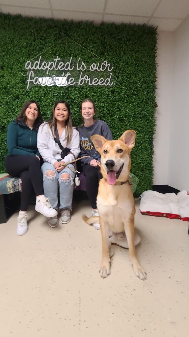 January – 111 adoptions