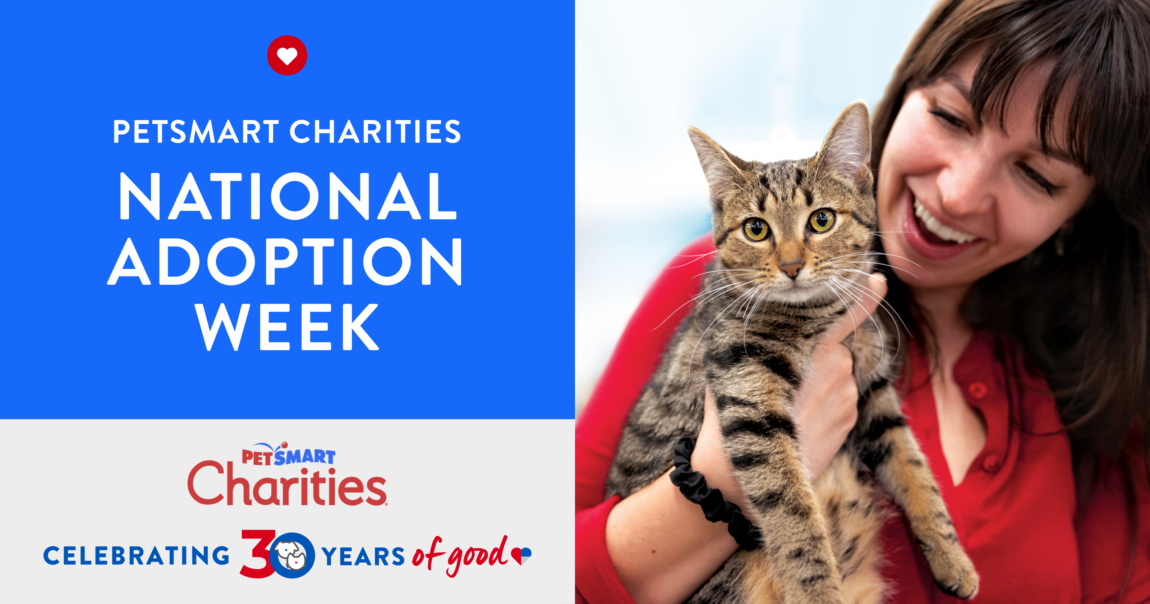 National Adoption Week
