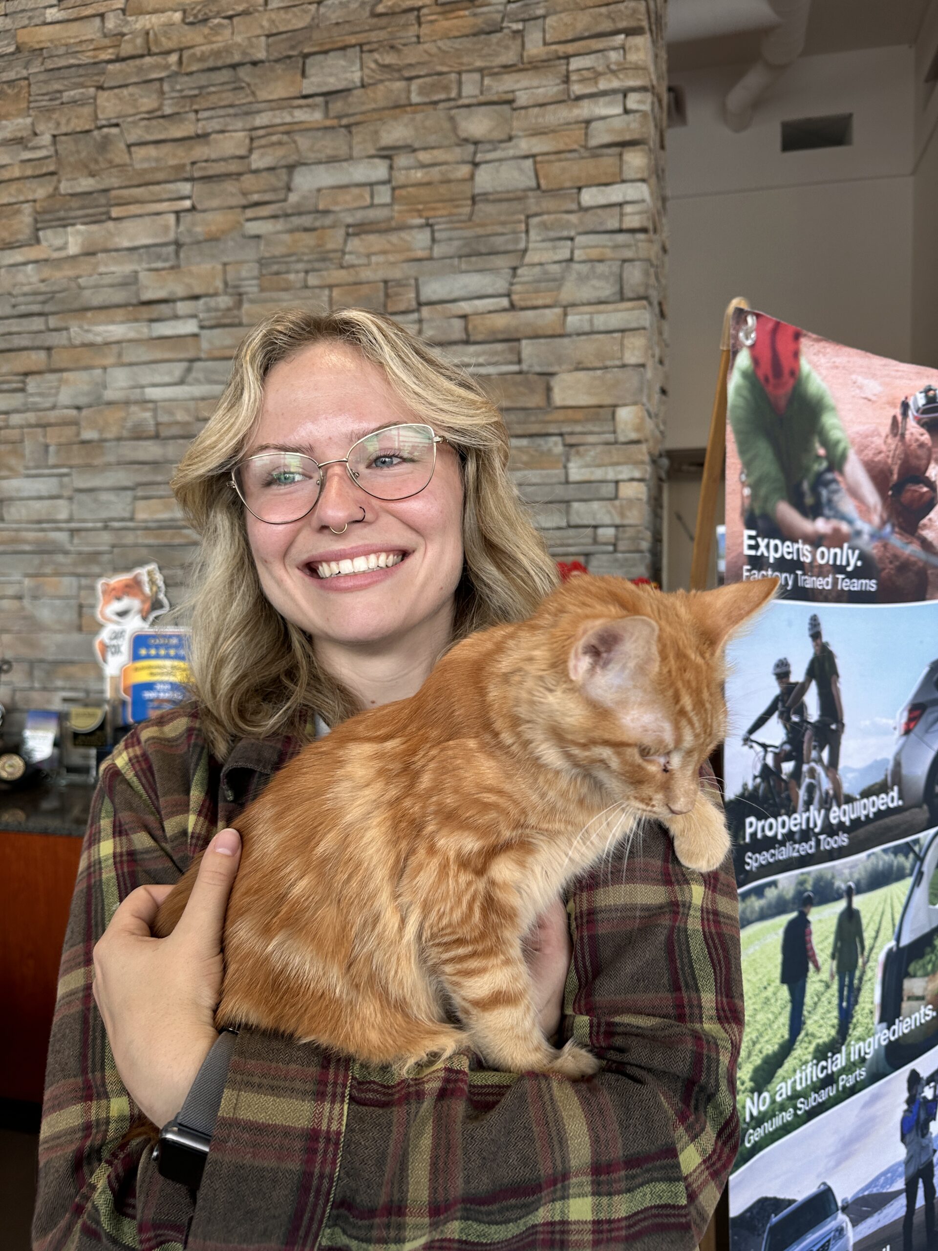Funny Face’s Journey to a Loving Home: FeLV Awareness