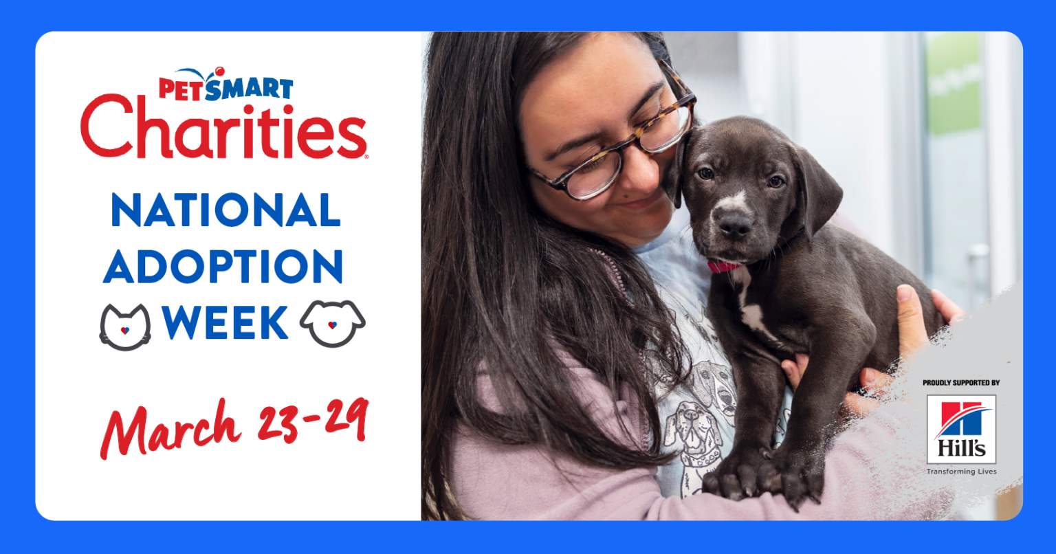 National Adoption Week March 2026